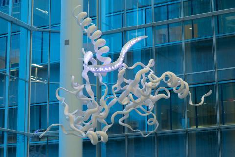 Home | Basser Center